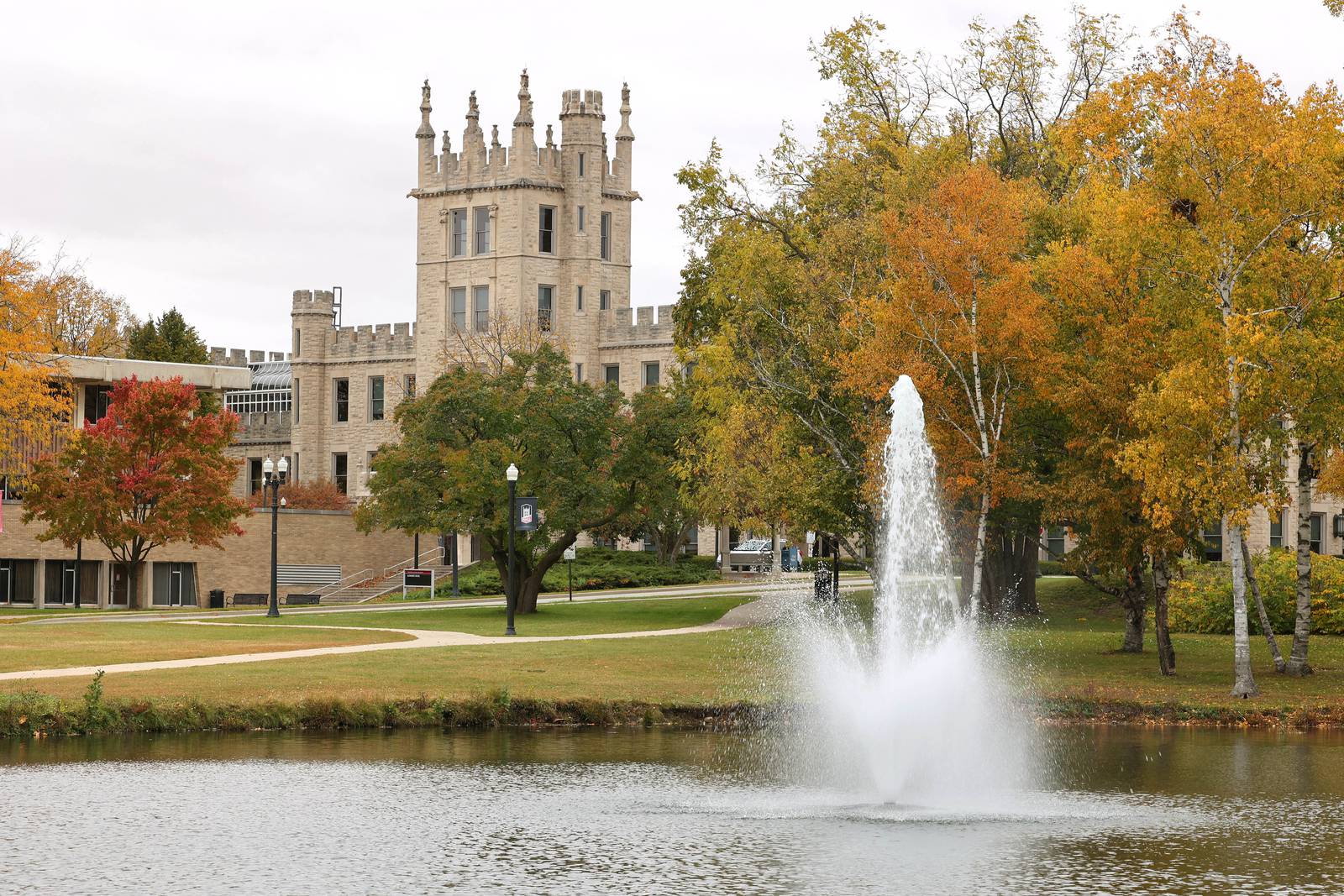 Leaf-ing an impact: NIU to plant hundreds of trees – Shaw Local