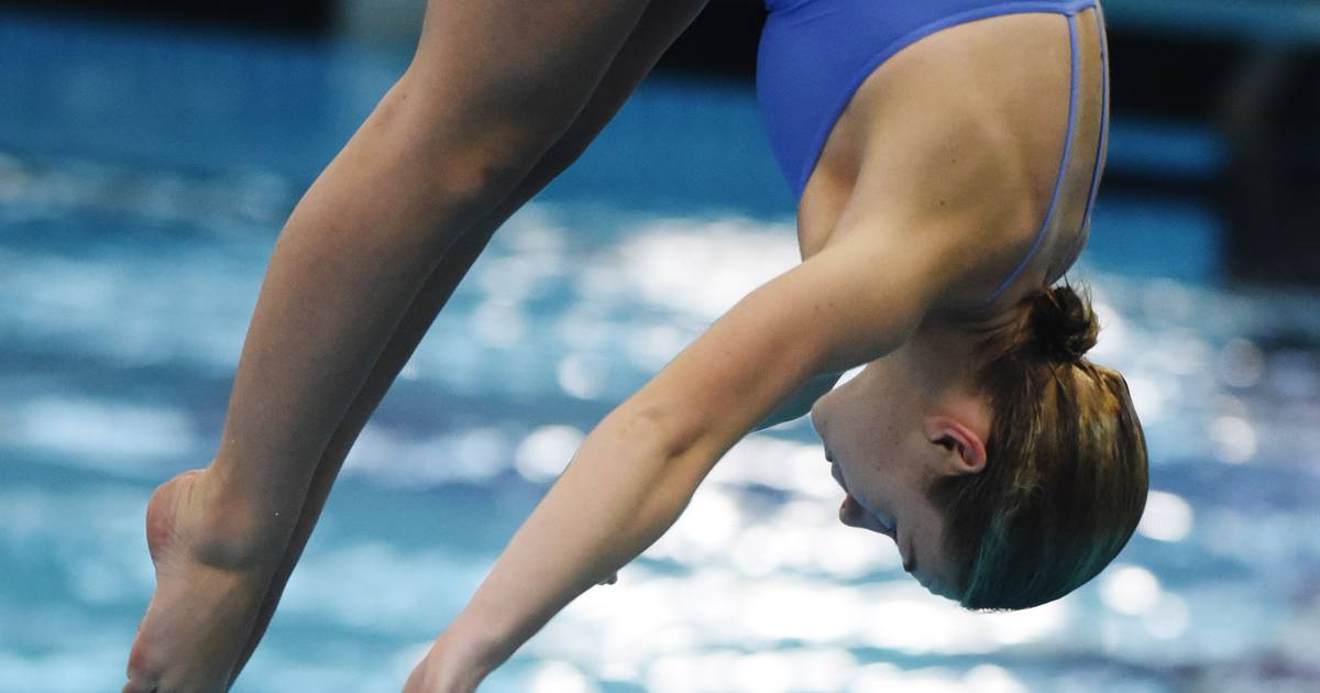 Girls swimming: Cary-Grove’s Maggie Bendell wins state diving ...