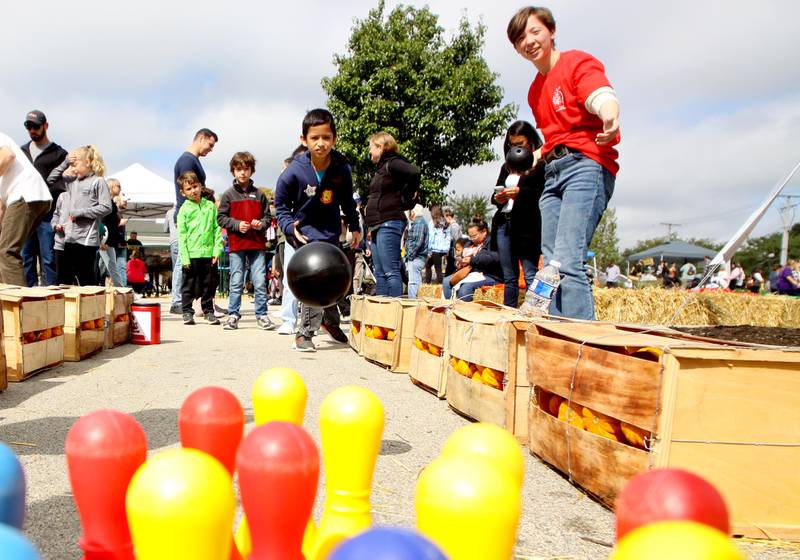 Photos: Johnny Appleseed Festival returns to downtown Crystal Lake ...