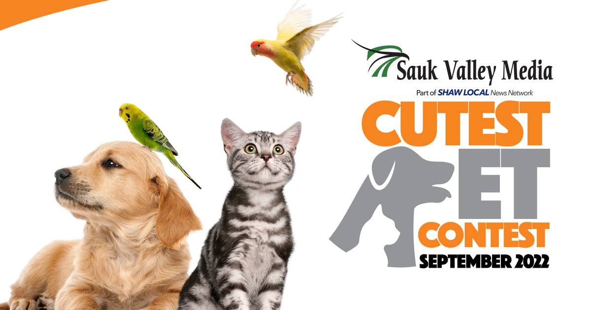 Vote in the September 2022 Sauk Valley’s Cutest Pet Contest – Shaw Local