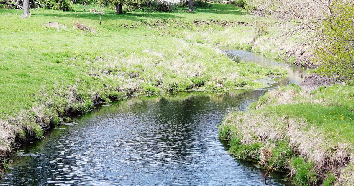 Lee County celebrates all the ‘cents’ this year – Shaw Local