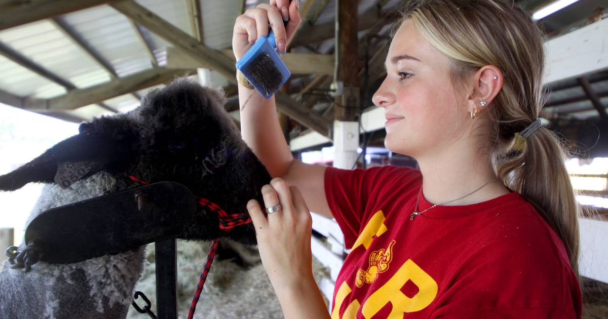 Photos: 2024 McHenry County Fair opens – Shaw Local