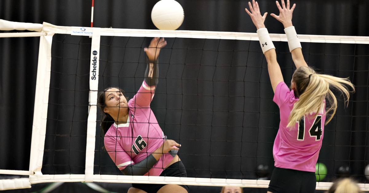 Volleyball: Rock Falls pulls away late in both sets to defeat Dixon at ...