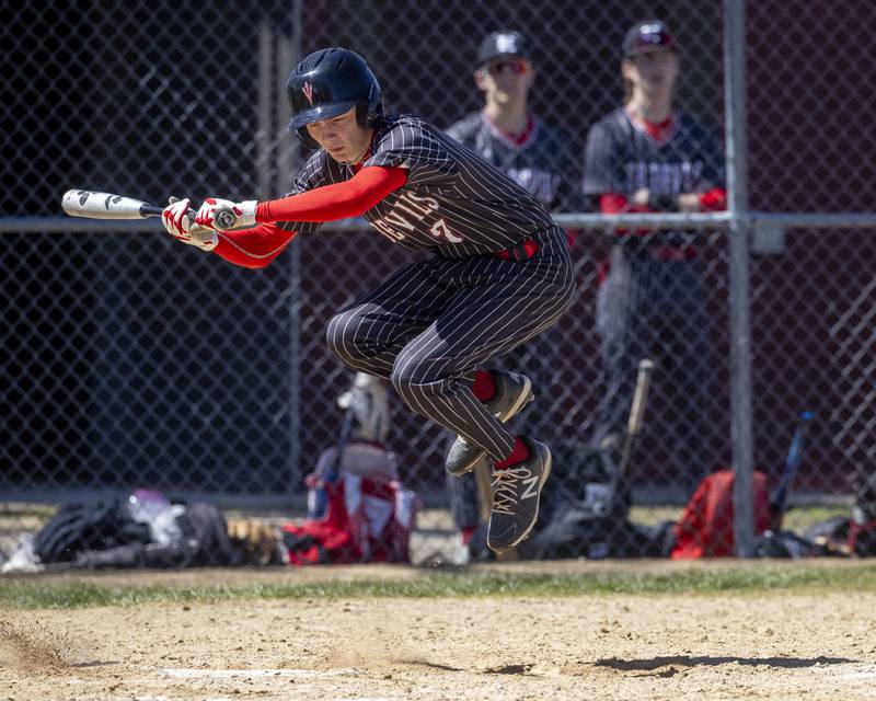 Photos: Princeton at Hall baseball – Shaw Local
