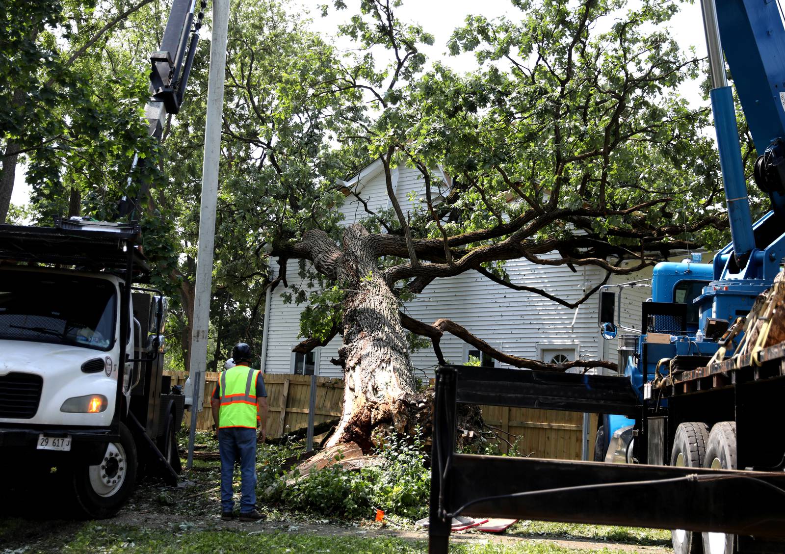 Batavia cleaning up after Sunday storm knocks down trees, powerlines ...