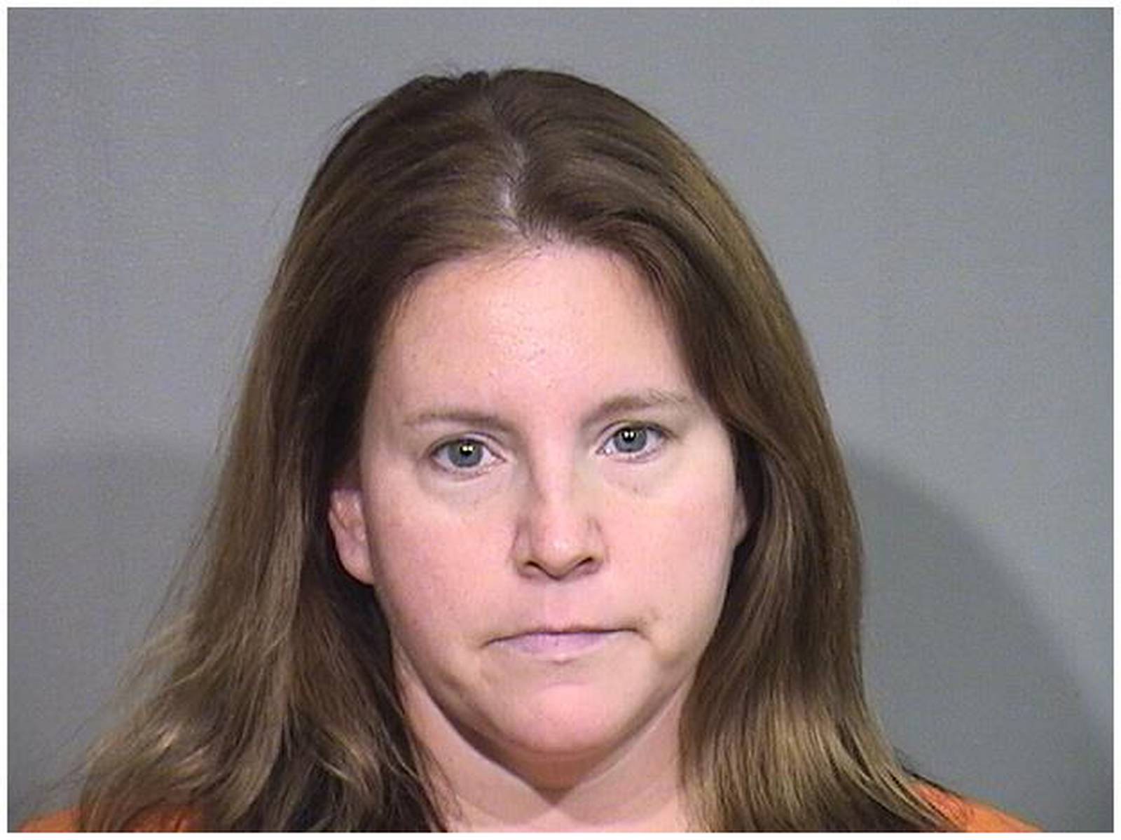 McHenry woman who stole $66K from youth baseball group faces new $280K ...