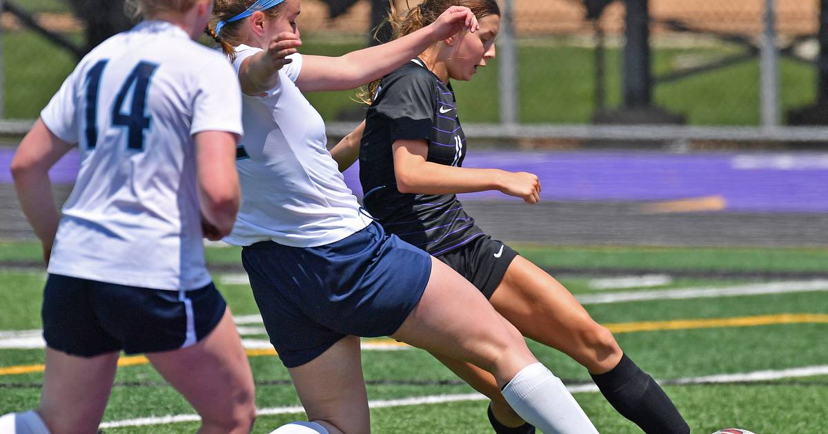 Photos: Downers Grove North and Downers Grove South girls soccer face ...
