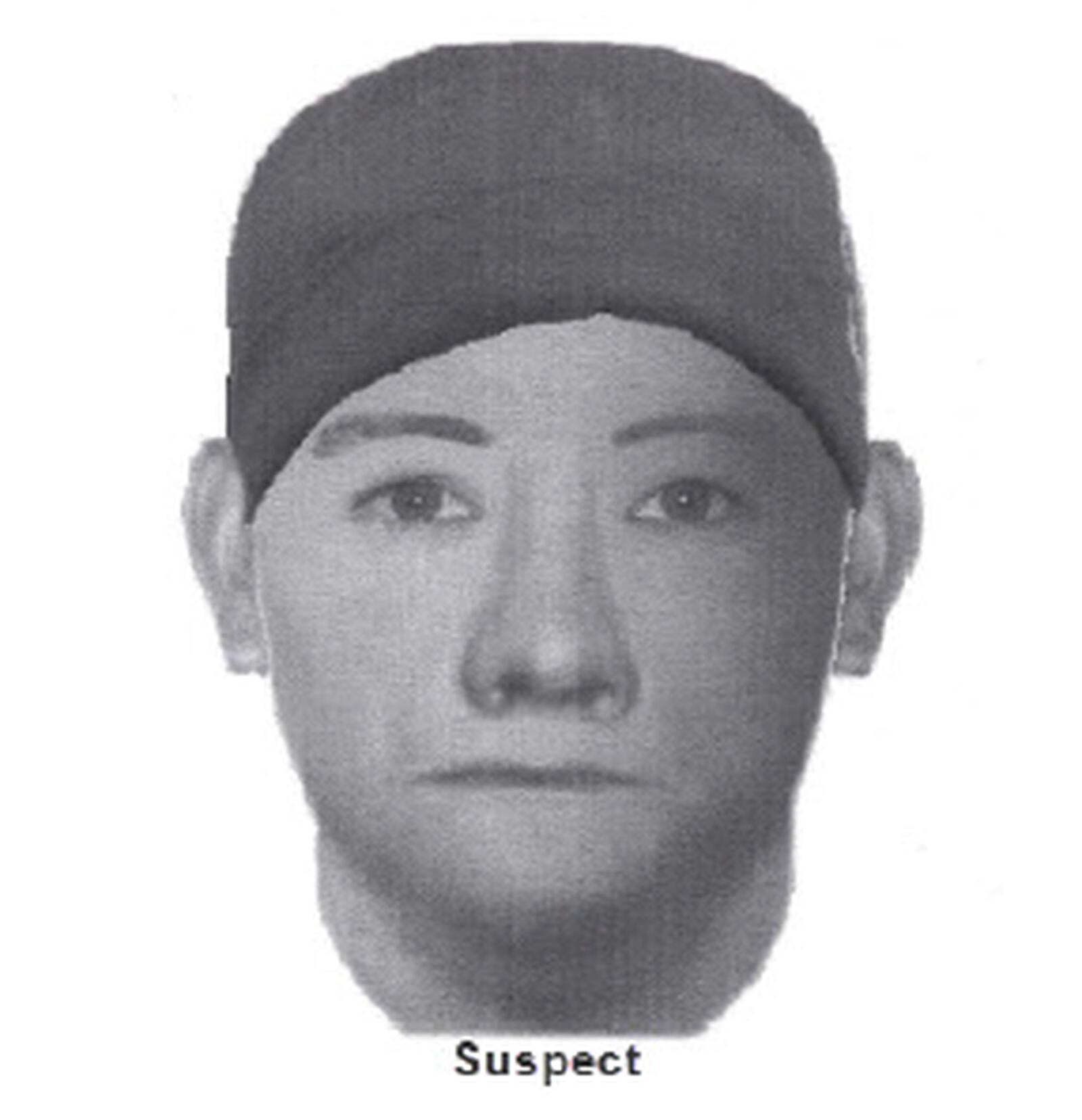 Warrenville police investigating New Year's Day indecent exposure ...