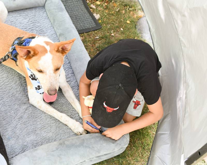 Photos: Downers Grove celebrates Dog Daze – Shaw Local
