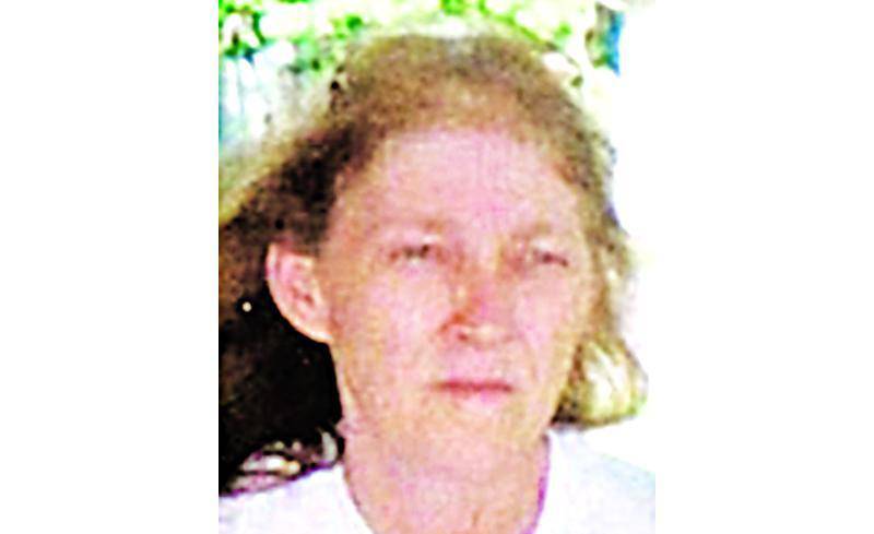 Dale Ann Batt – Shaw Local