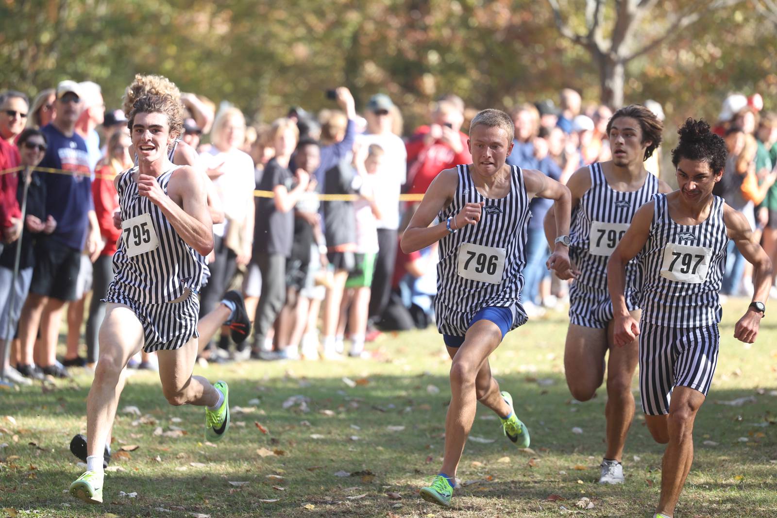 Cross country: Plainfield South boys roar to Class 3A regional title ...