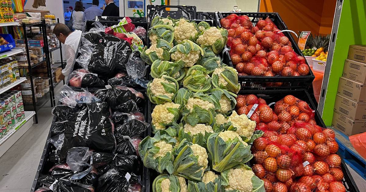 Elmhurst-Yorkfield Food Pantry receives grant – Shaw Local