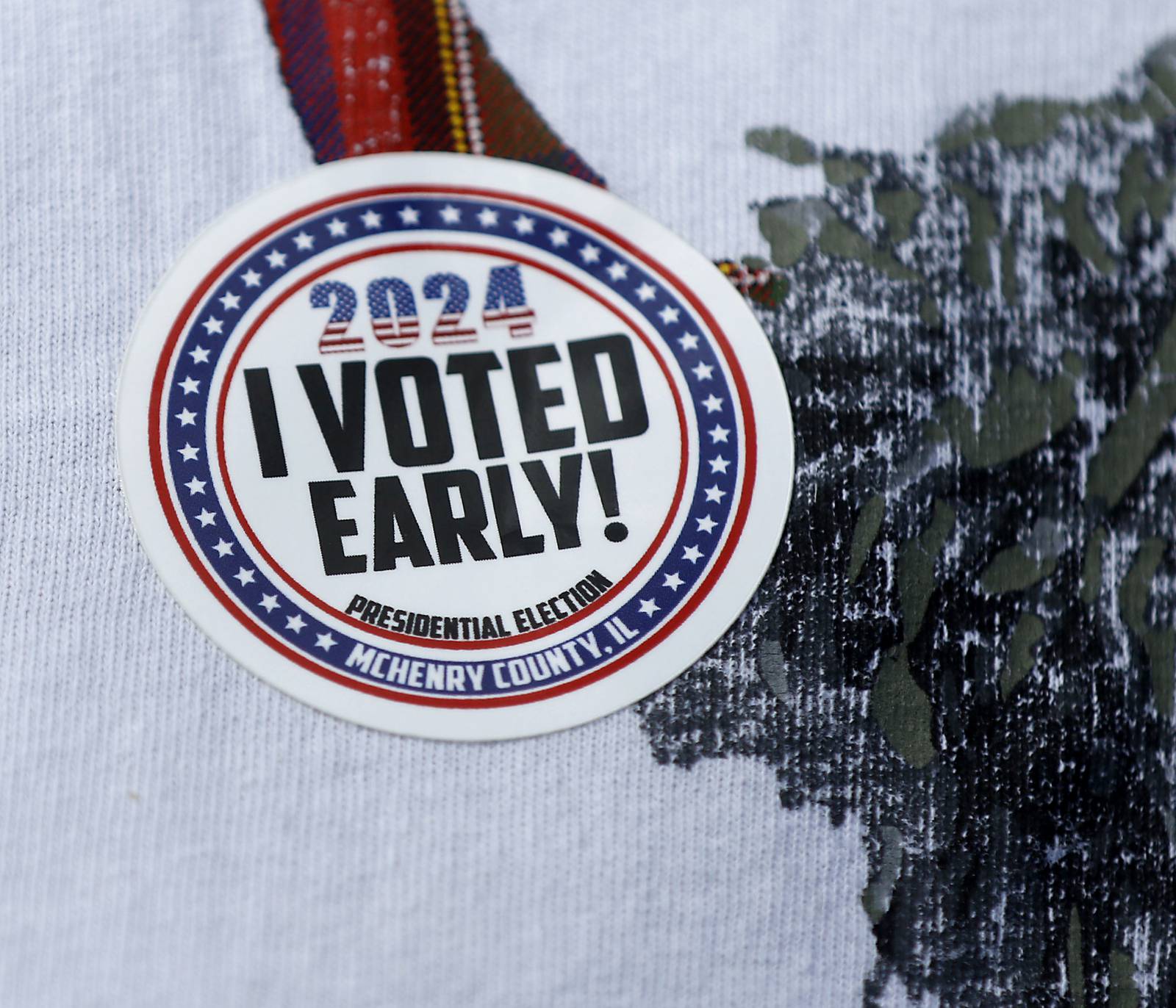 Early voting expands Monday in McHenry County: What you need to know to ...