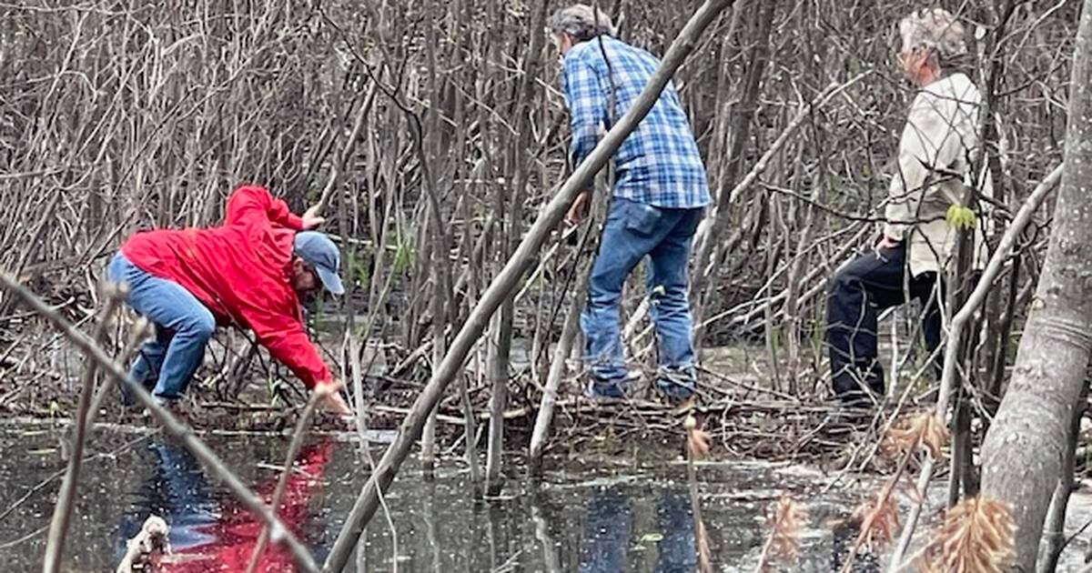 Fawning over tree stumps, deconstructing Mona Lisa dams and honoring ...