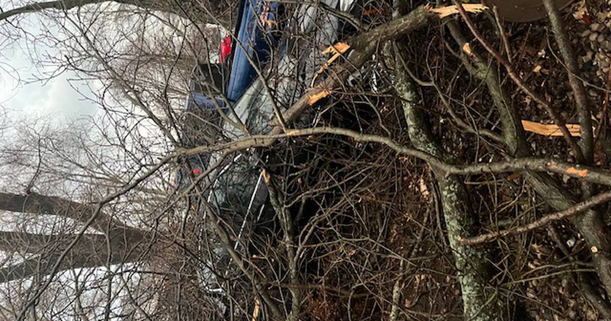 Wheaton continues to clear downed trees following heavy winds – Shaw Local