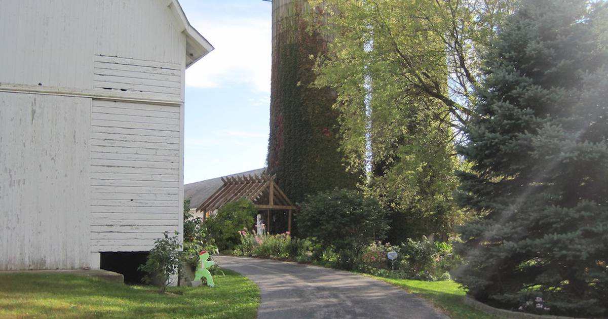 Visitors bid farewell to Conley Farm – Shaw Local