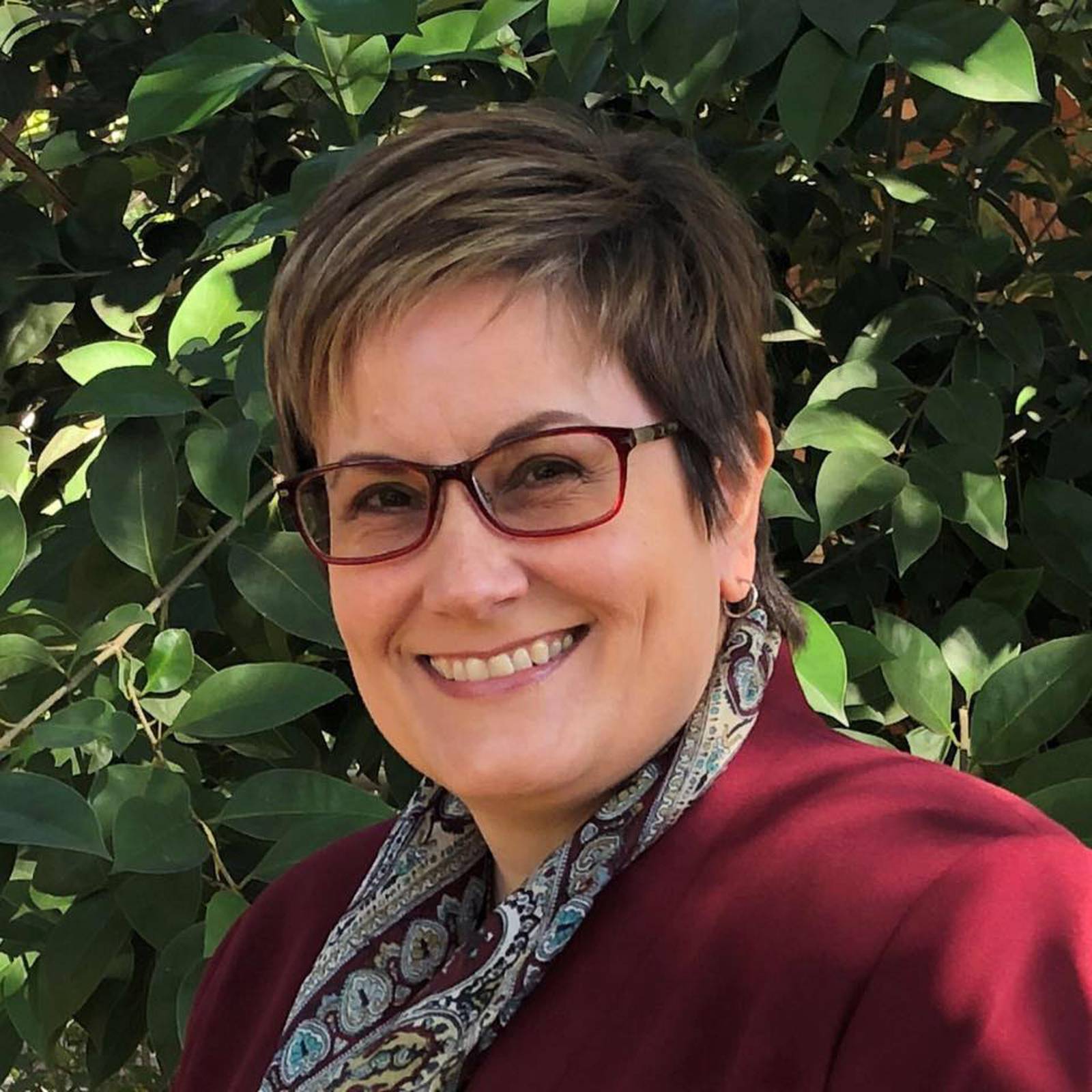 Illinois Valley Community College announces new president of academic ...