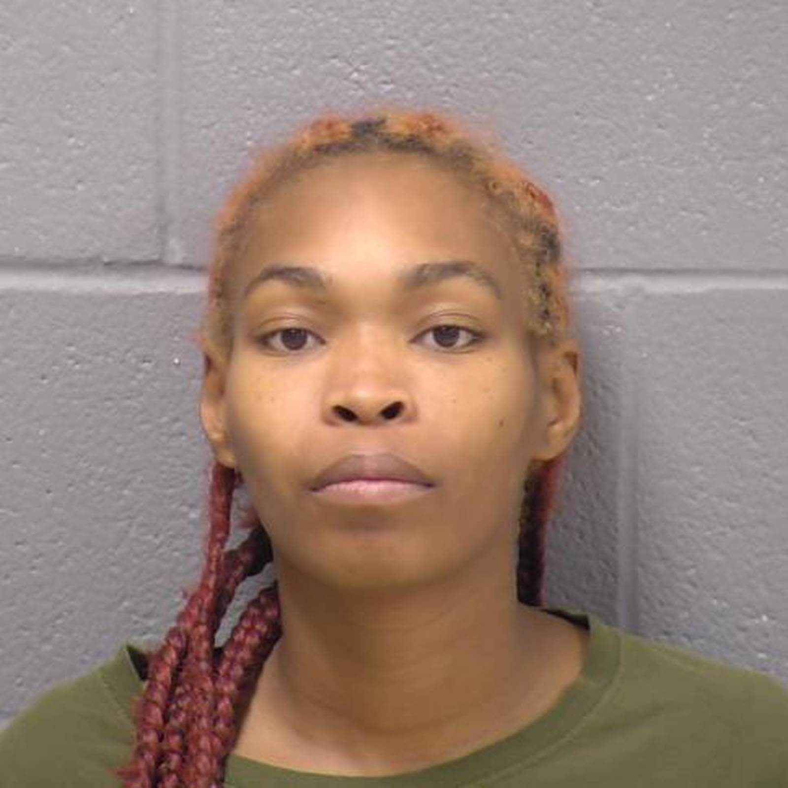 Joliet woman accused of driving SUV toward group of officers, people ...