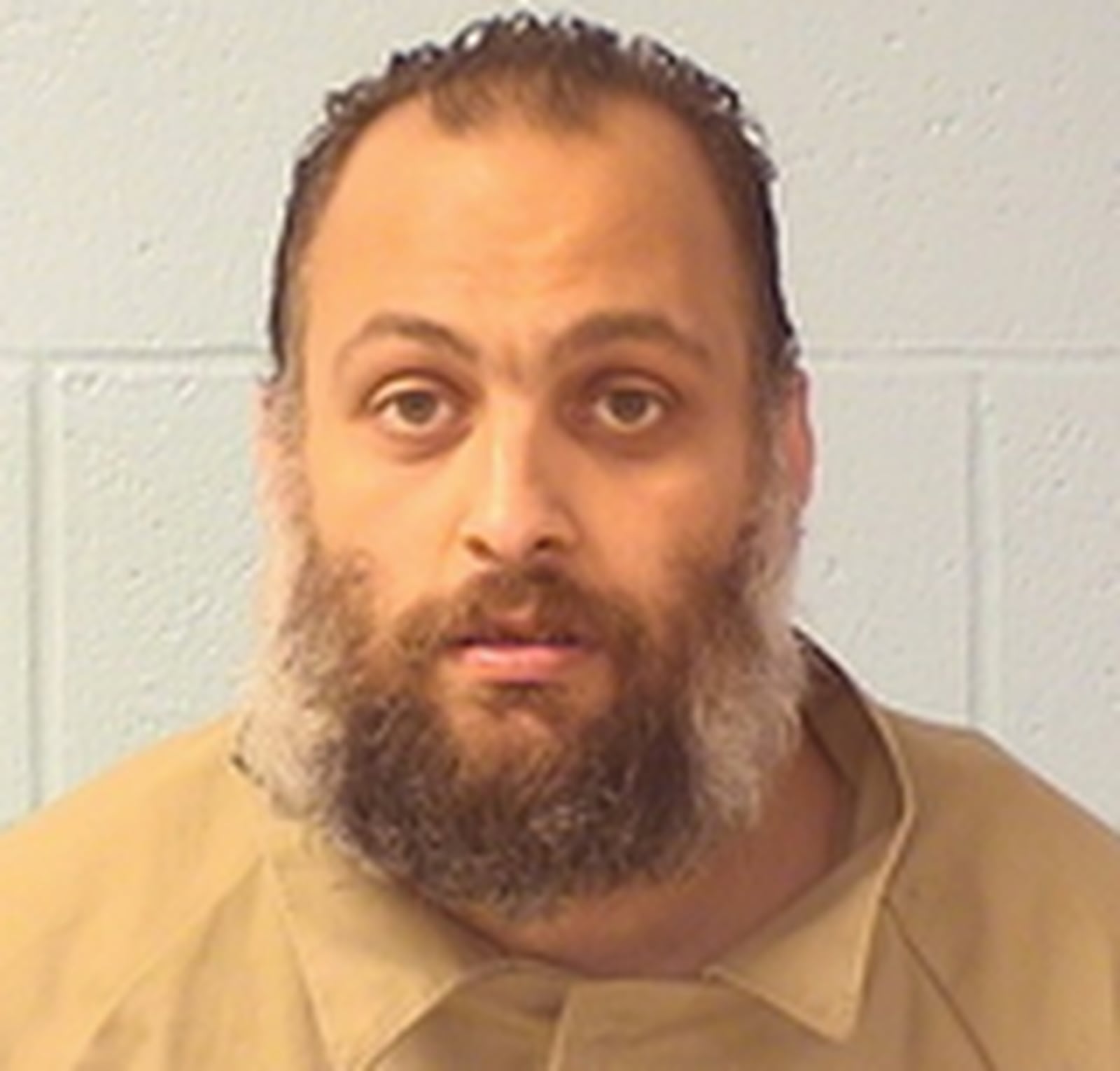 Inmate facing 30 more years, charged with setting fire to Dixon prison ...