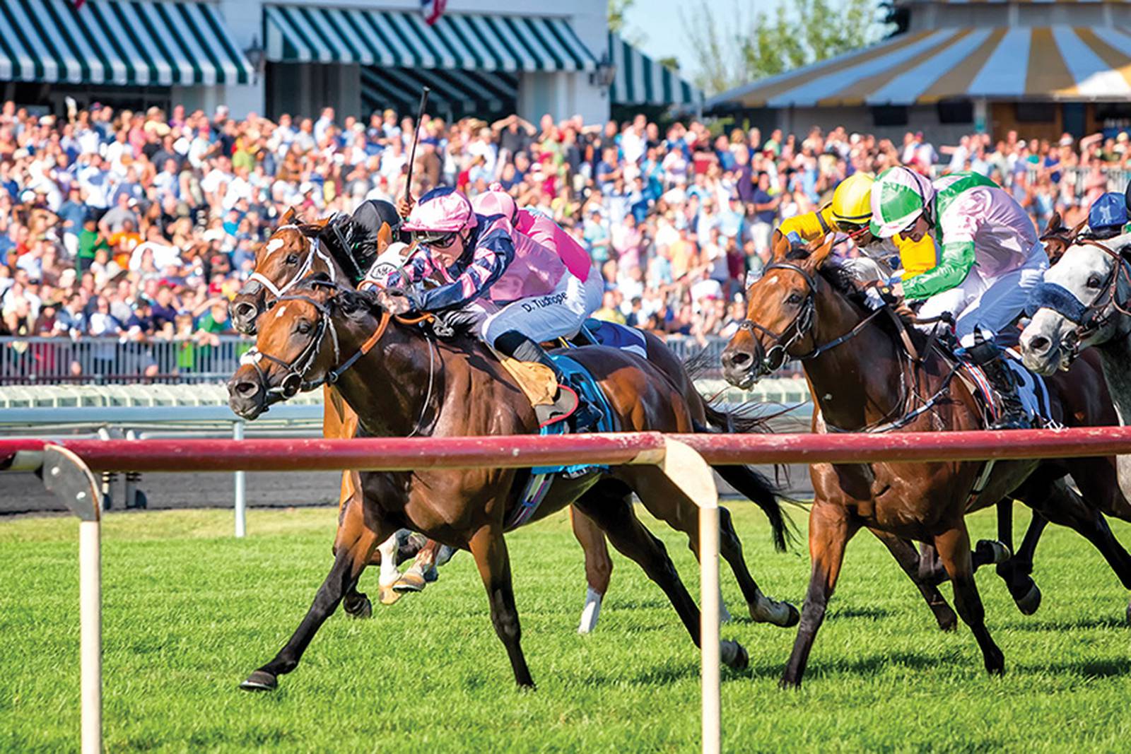 Playing the ponies – Shaw Local